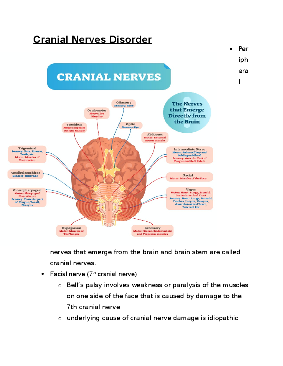 Cranial Nerves Disorder - Facial nerve (7th cranial nerve) o Bell’s ...