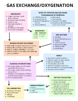 Perfusion Concept Map Nursing Fundamentals - Focused assessments ...