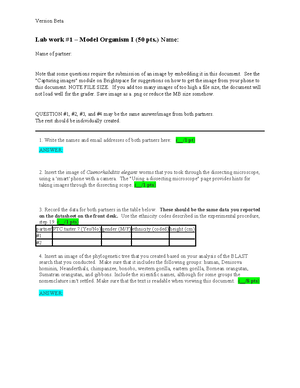 Visual pathway drawing assignment - Visual drawing assignment Visual ...