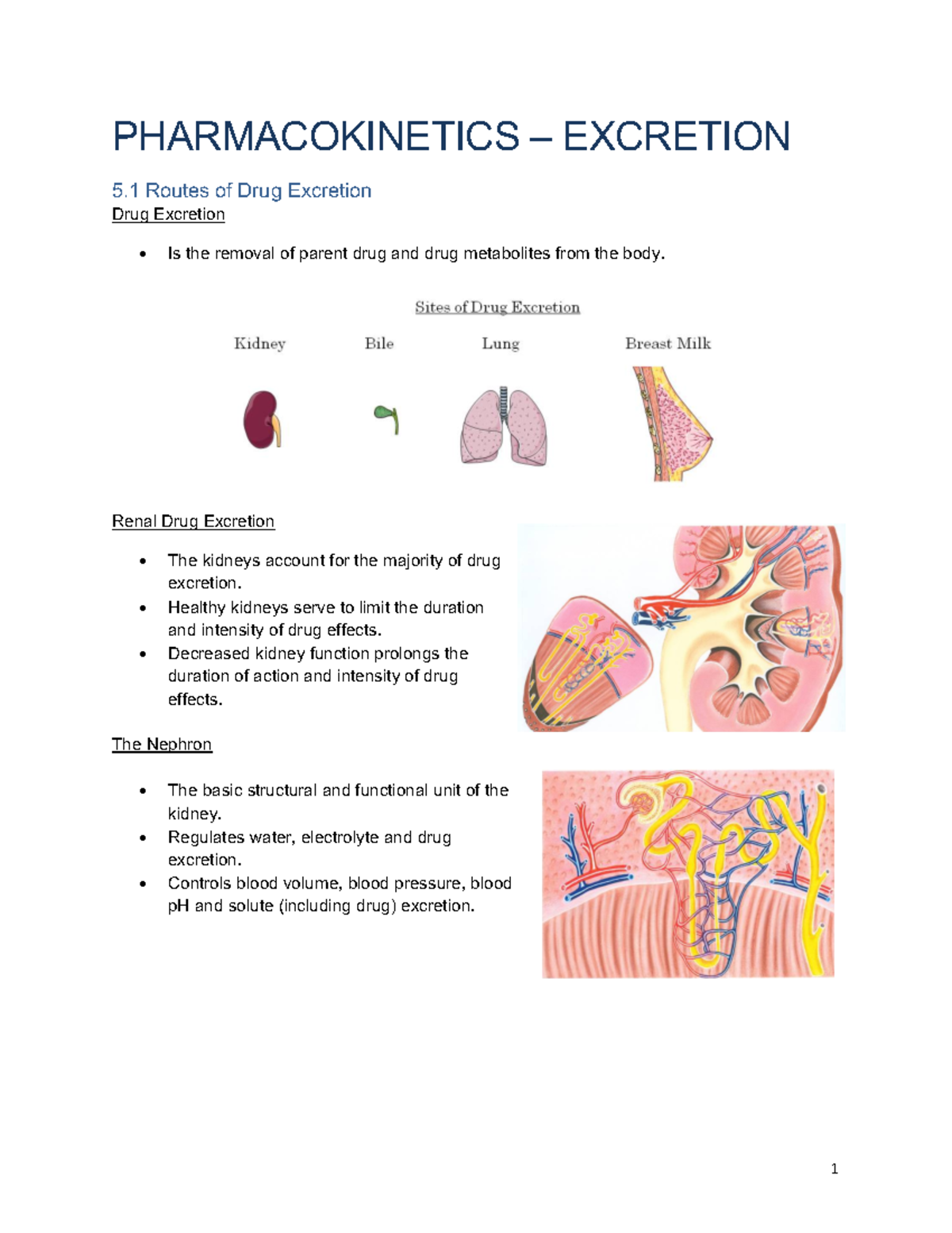Module 5 Notes 2020 - PHARMACOKINETICS – EXCRETION 5 Routes of Drug ...