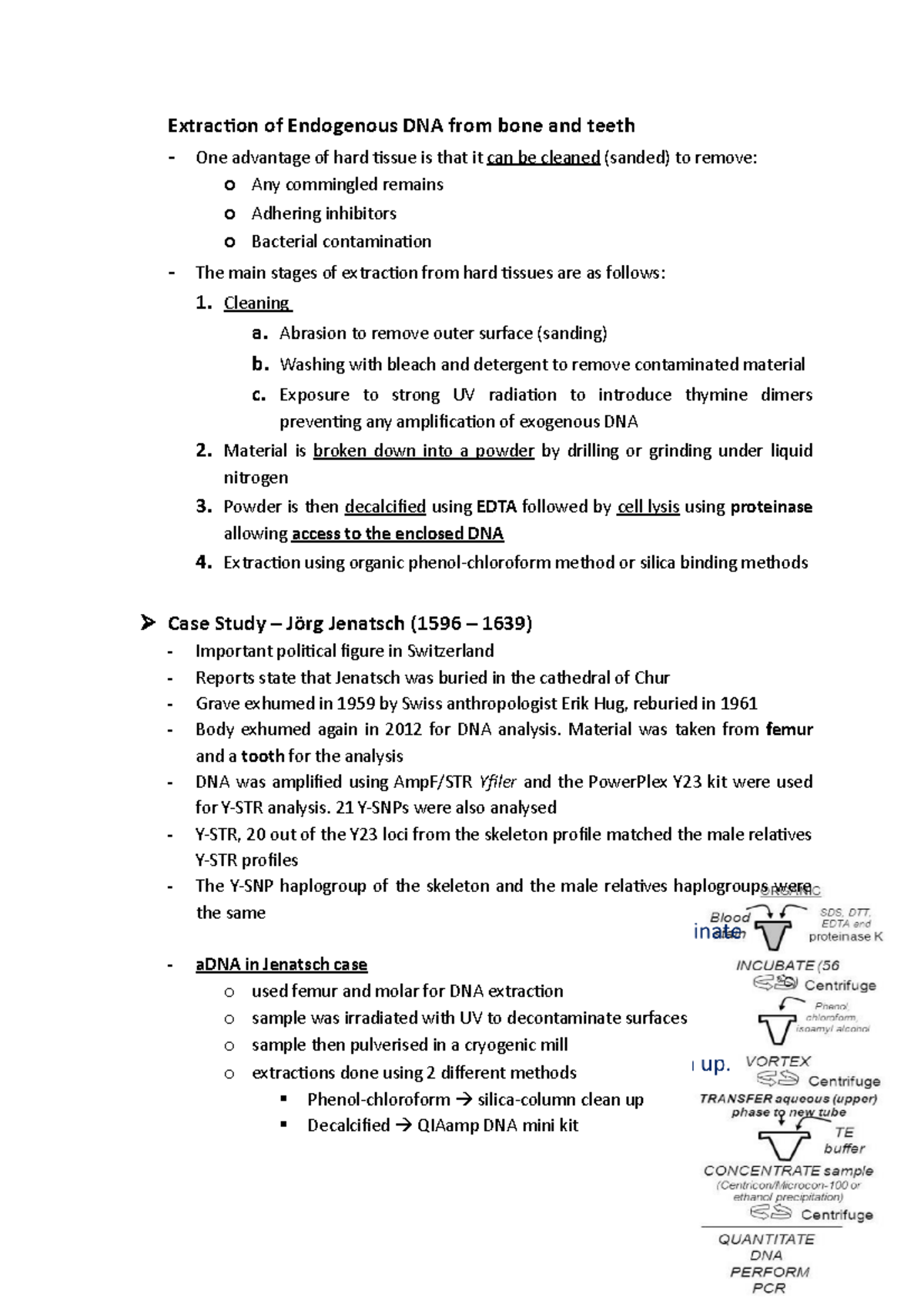 Extraction of Endogenous DNA from bone and teeth - Cleaning a. Abrasion ...