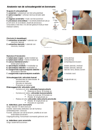 Samenvatting praktijk periode 3 - VT 1: Functietesten van de elleboog ...
