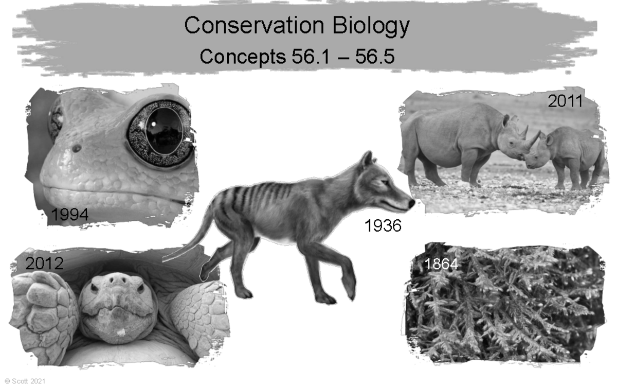 Lectures 14 -15 - Bio notes - Conservation Biology - Concepts 56 – 56 ...