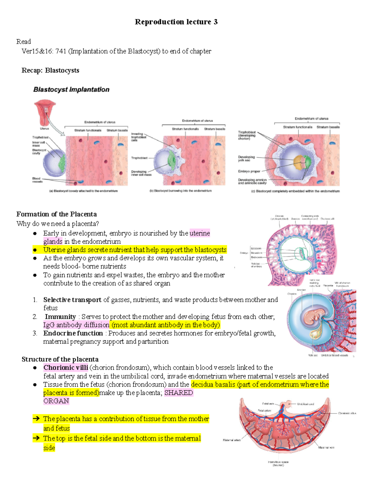 BIOM3200 repro lecture 3 with diagrams and key hints from prof ...