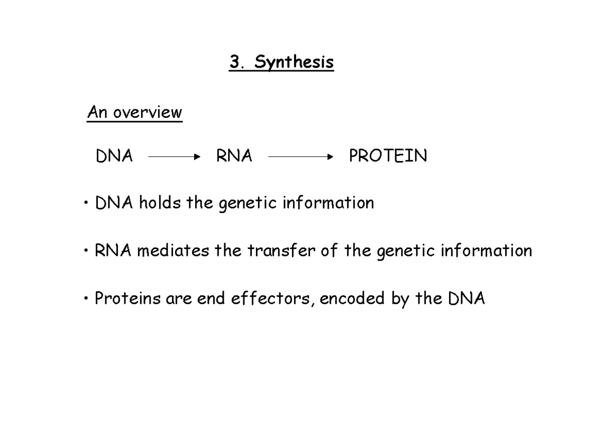 Synthesis.pdf new 1 - Lecture notes 1-10 - 3. Synthesis An overview DNA ...