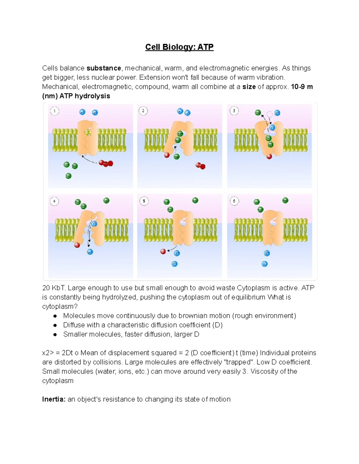 Cell Biology ATP - Cell Biology: ATP Cells balance substance ...