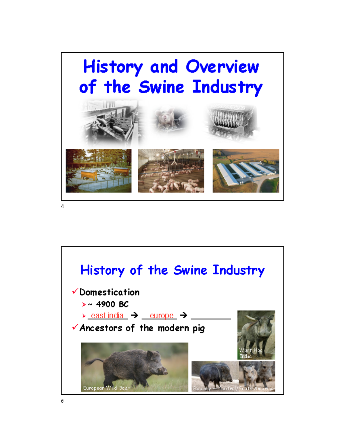 Student Outline (2020) - Swine Industry (2 per page) - History and ...