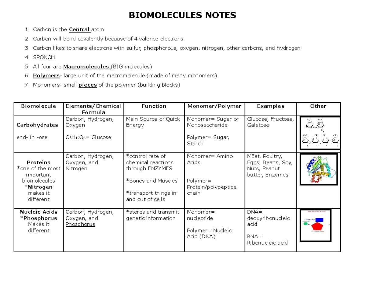 Biomolecules chart (Biology) - BIOMOLECULES NOTES Carbon is the Central ...