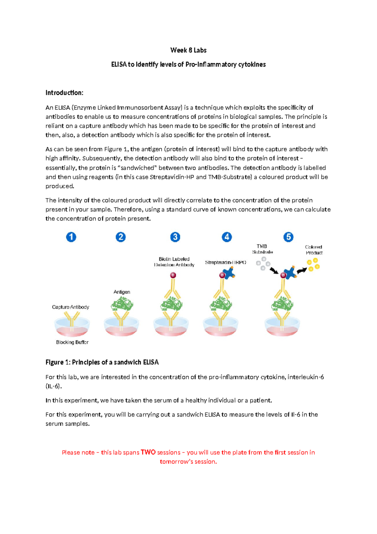 5037BMS Elisa Lab Student Protocol v5 - Week 8 Labs ELISA to identify ...