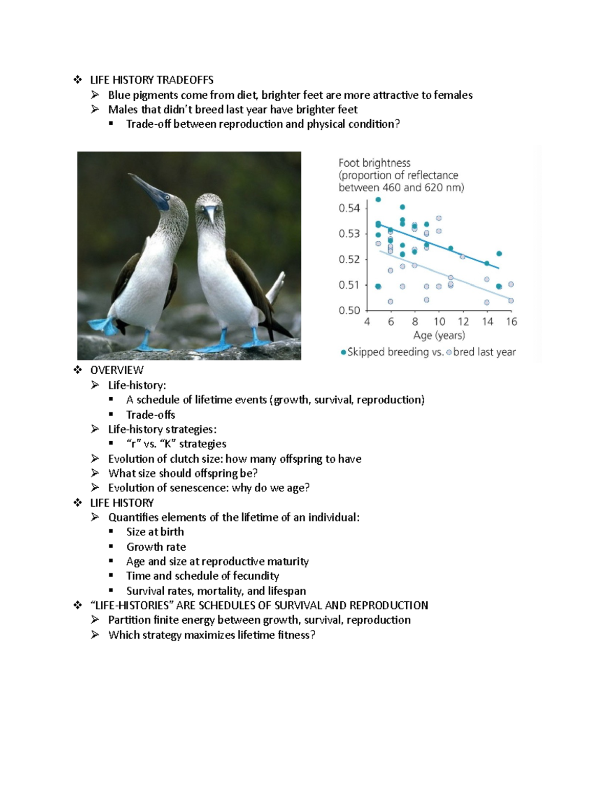 Chapter 13 pt. 1 - LIFE HISTORY TRADEOFFS Blue pigments come from diet ...