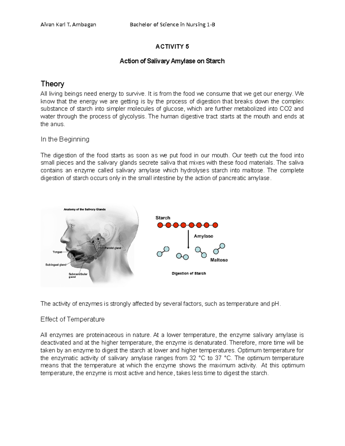 Activity 5 laboratory - Biochem - ACTIVITY 5 Action of Salivary Amylase ...