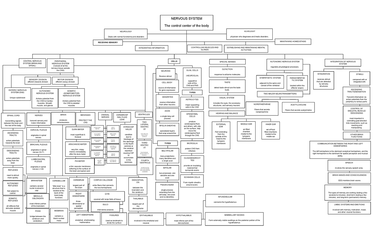 Conceptmap-OF- Nervous - NERVOUS SYSTEM The control center of the body ...