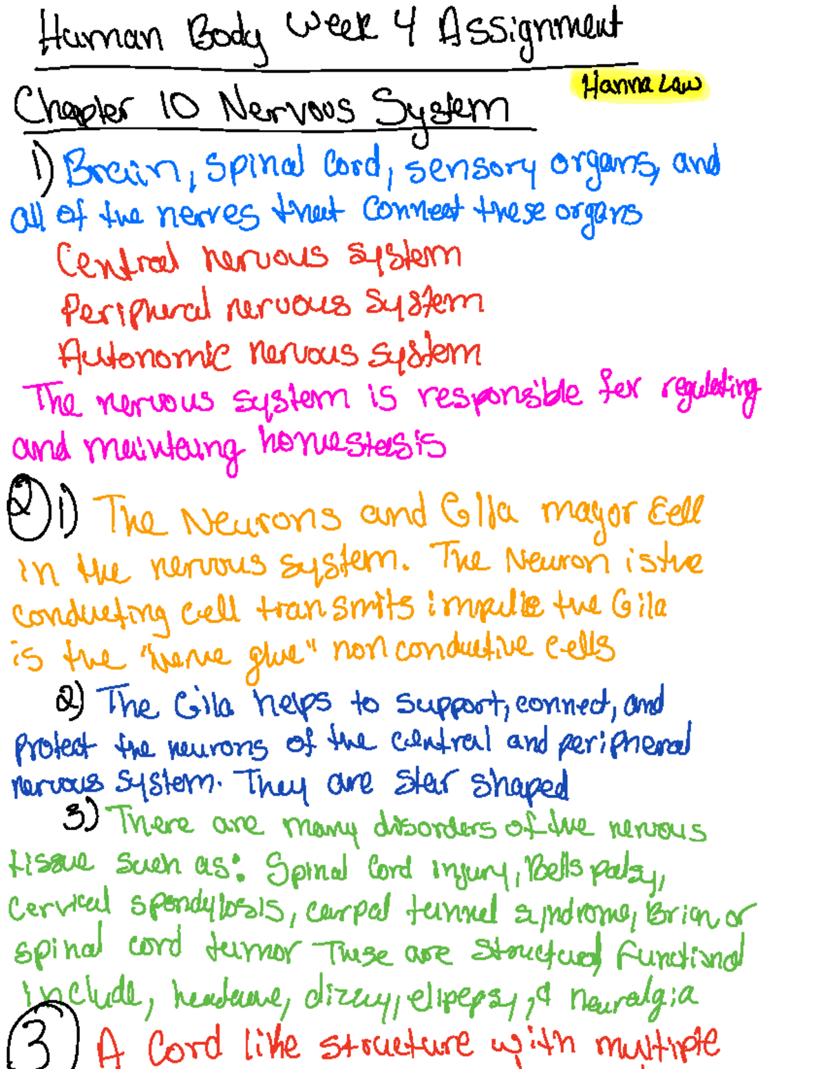 Week 4 human body - HumanBodyweek4Assignmentna qq p aT I organs and all ...