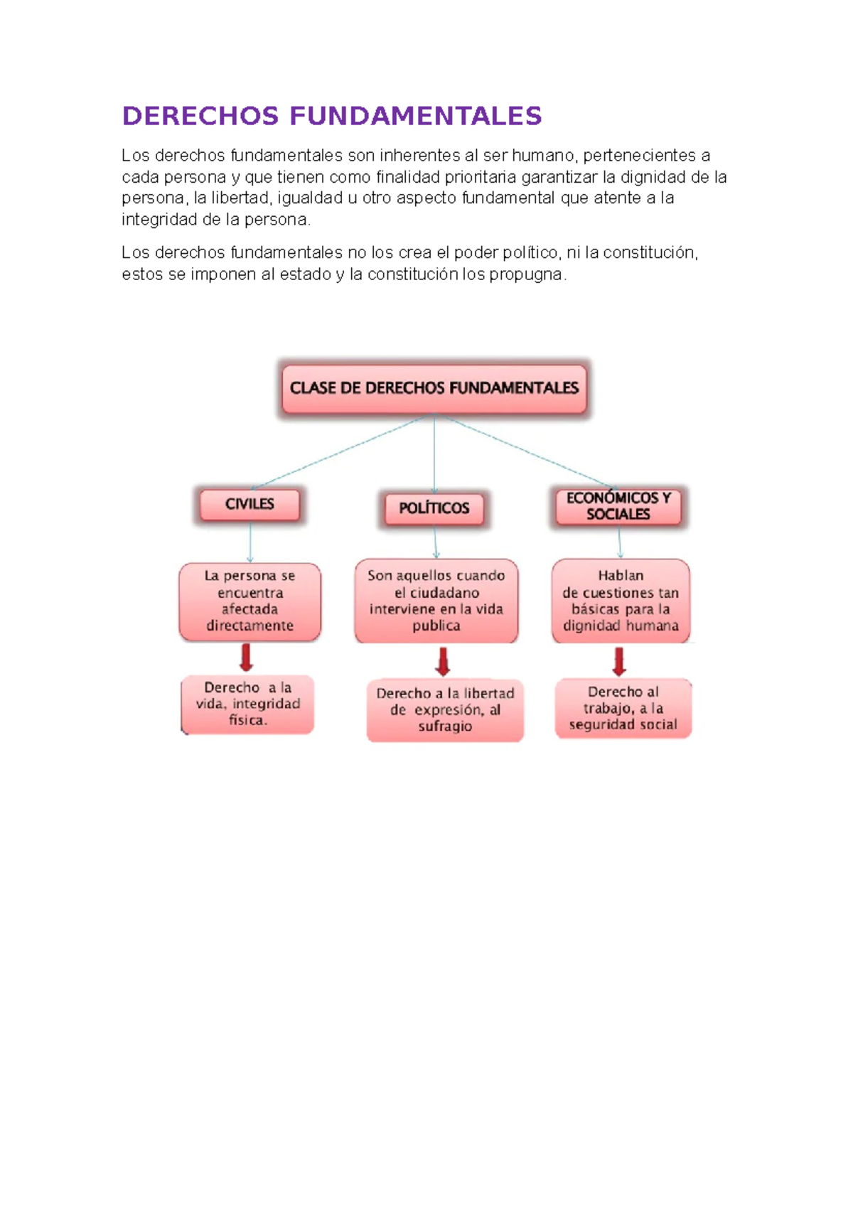 Derechos Fundamentales 1234 - DERECHOS FUNDAMENTALES Los derechos ...
