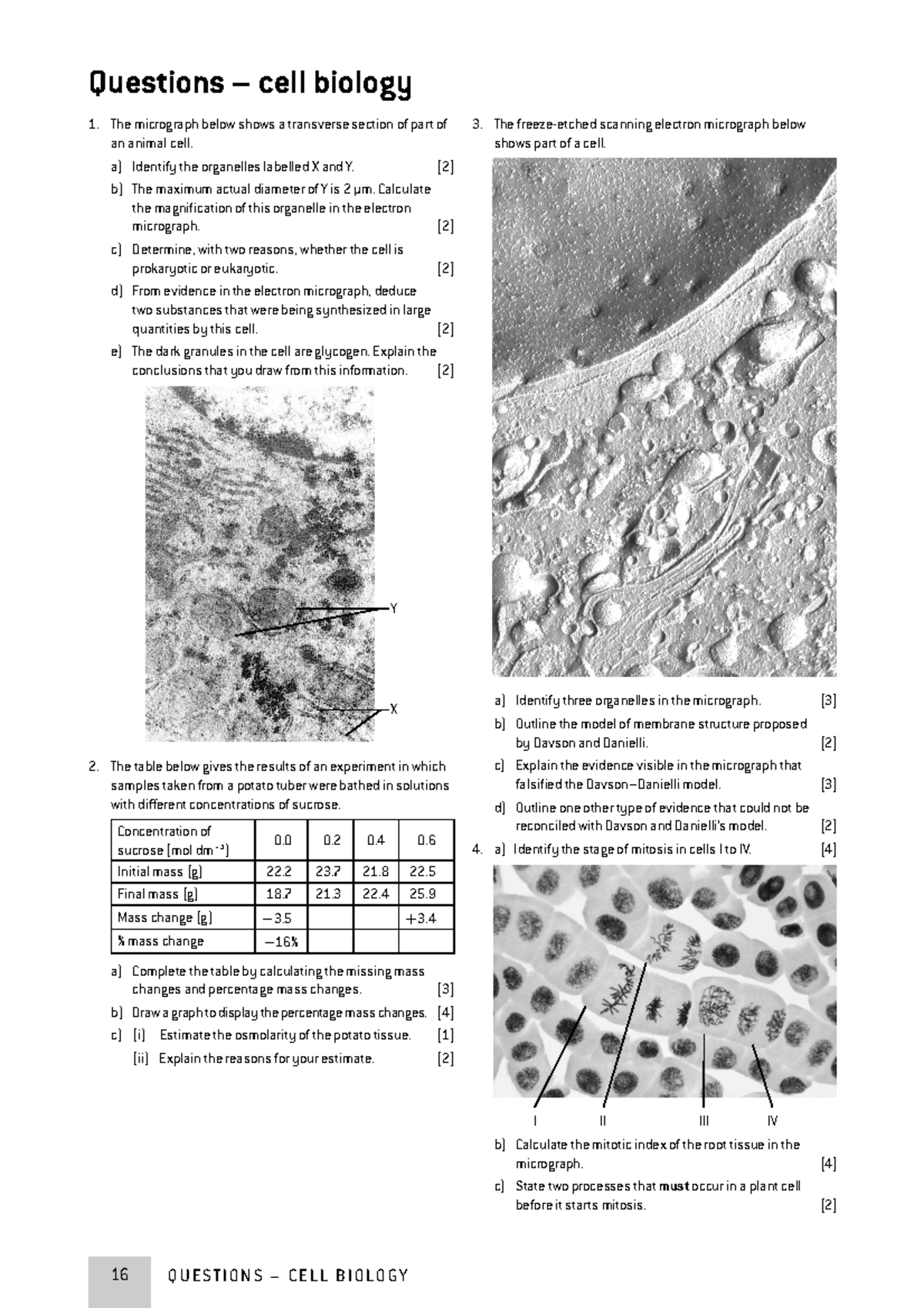 Biology study guide - 2 - 16 Q U E S T I O N S C E L L B I O L O G Y ...