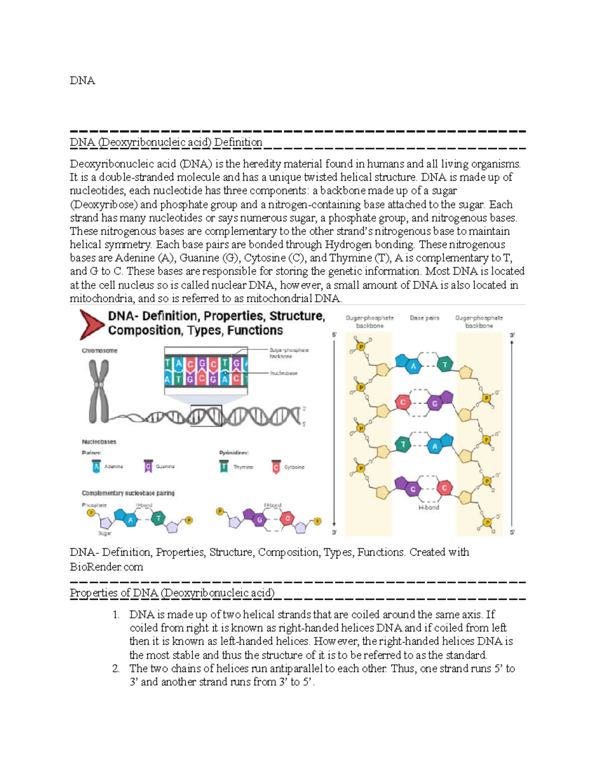 DNA - notes - DNA DNA (Deoxyribonucleic acid) Definition ...