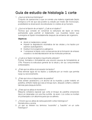 Sistema respiratorio 3 62346 downloable 2593461 - Anatomía humana y ...