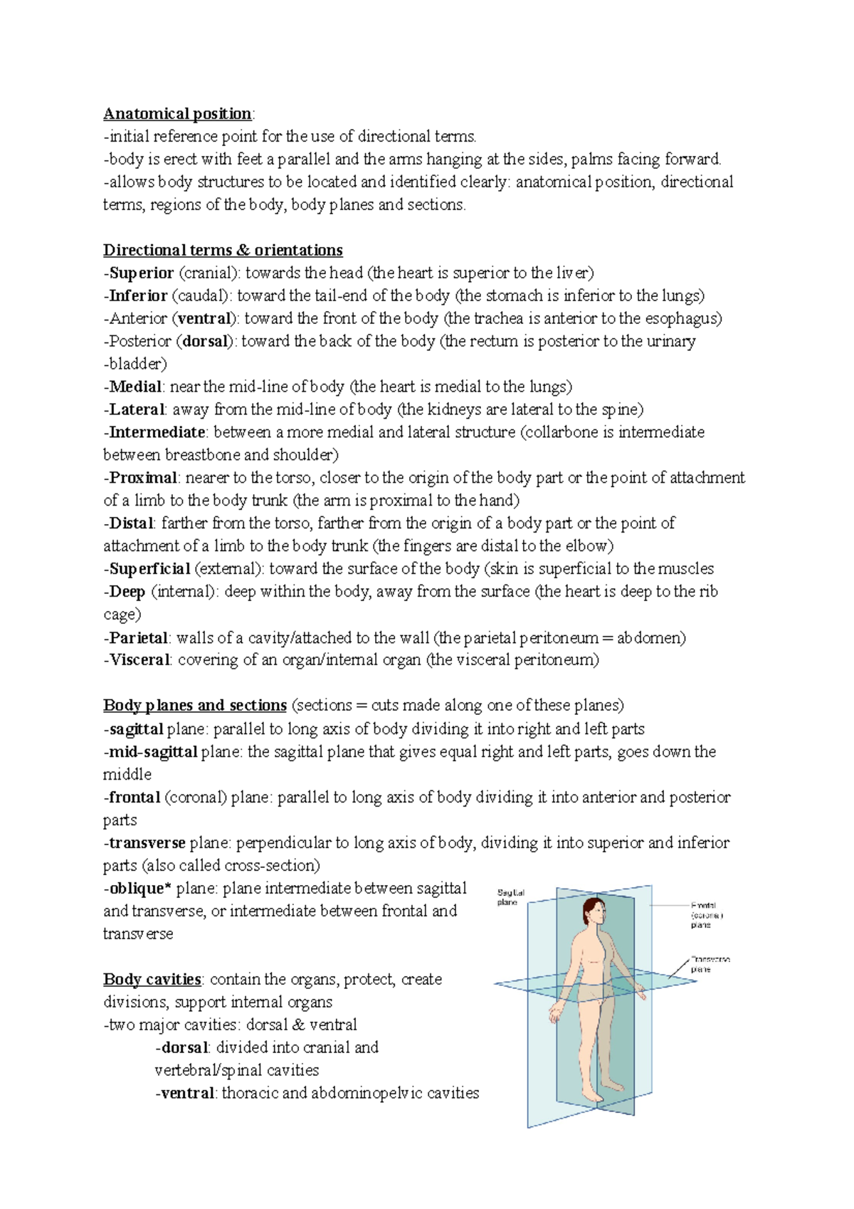 The Integumentary and Cardiovascular Systems - Anatomical position ...