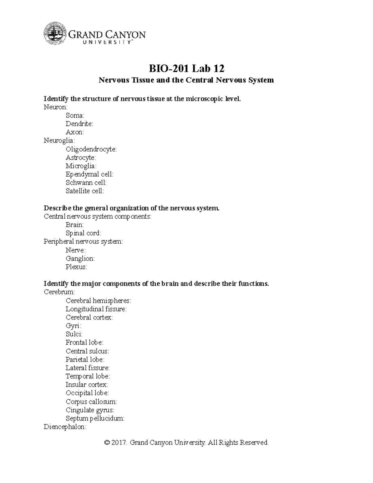 CNS Study Guide - Dr. Kojich - Lab 12 Nervous Tissue and the Central ...