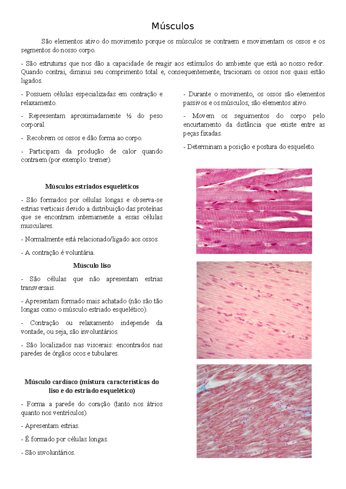 Sistema muscular - Músculos São elementos ativo do movimento porque os ...