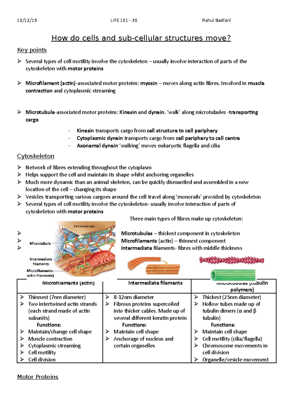 30 - how do cells and sub-cellular structures move - How do cells and ...