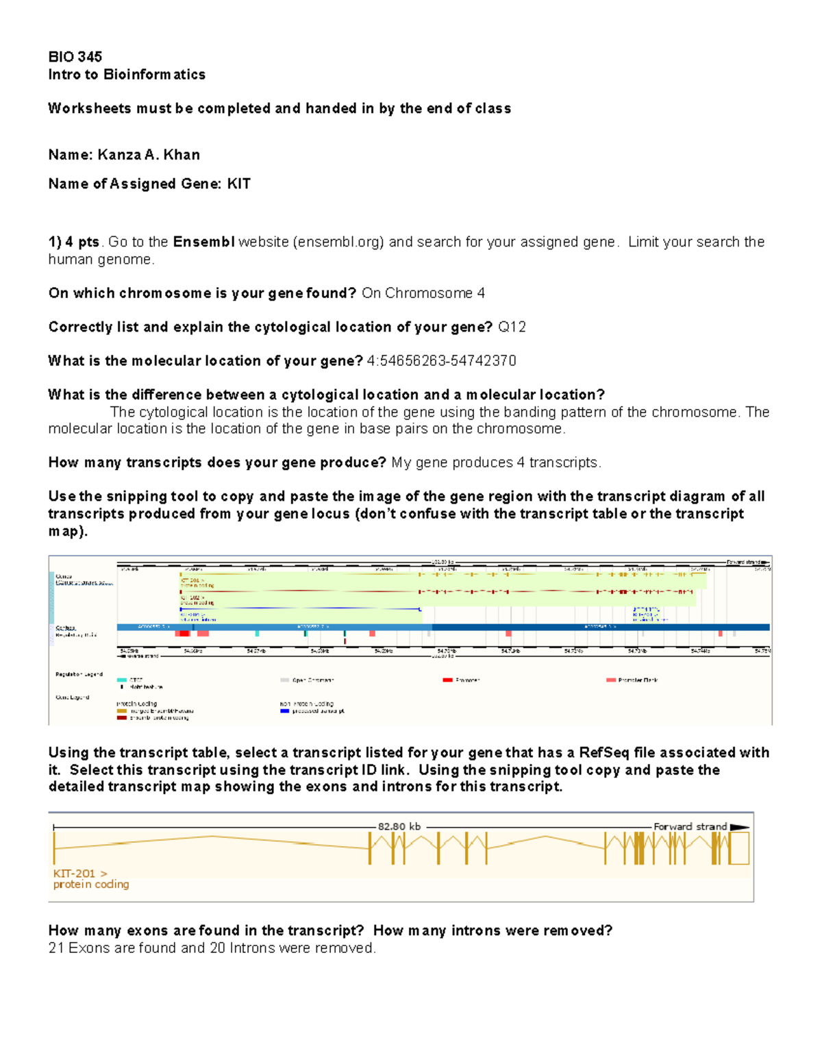 Week1-worksheet - week 1 worksheet assignment - KIT gene - Intro to ...