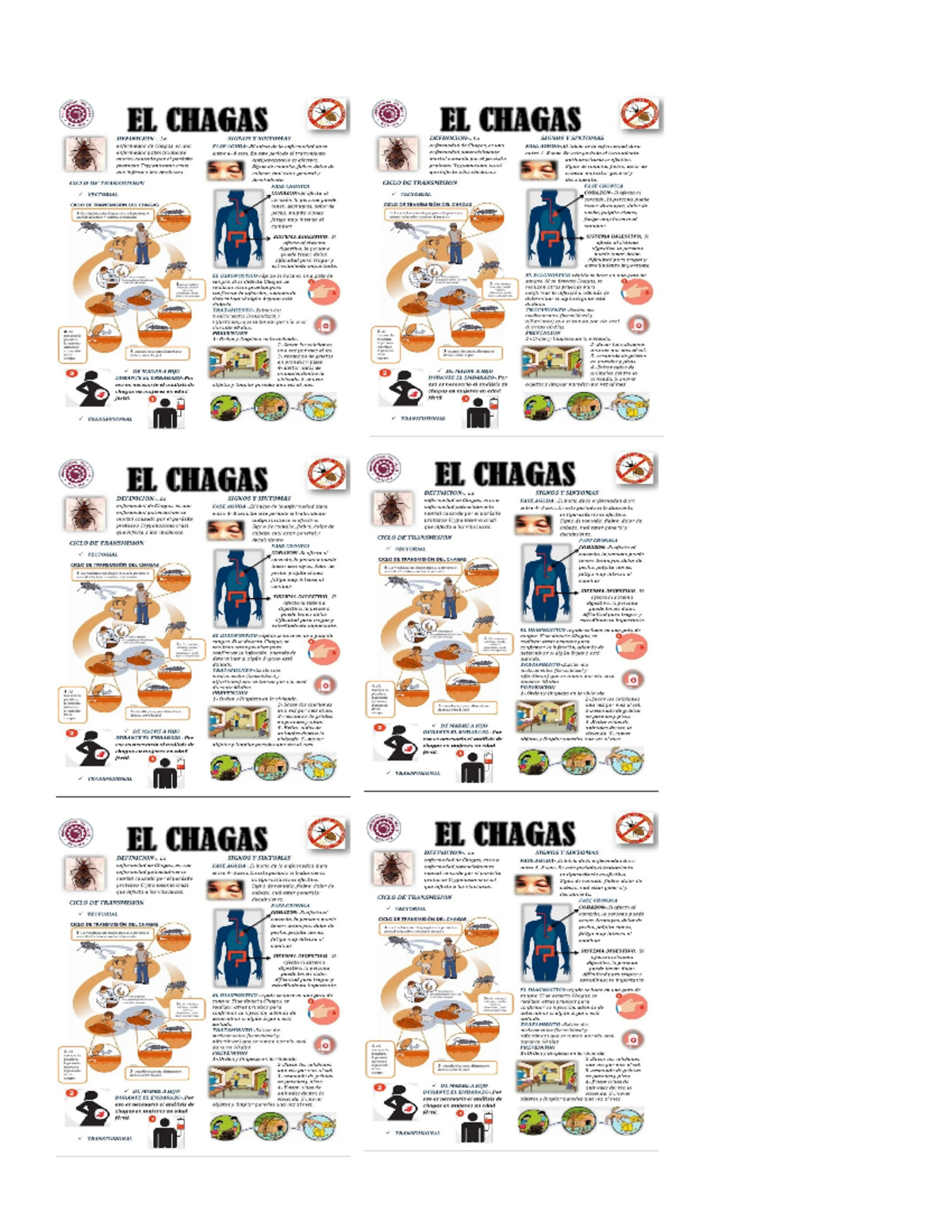 Chagas - Guia informe - EL CHAGAS EL CHAGAS La SIGNOS Y SINTOMAS La ...