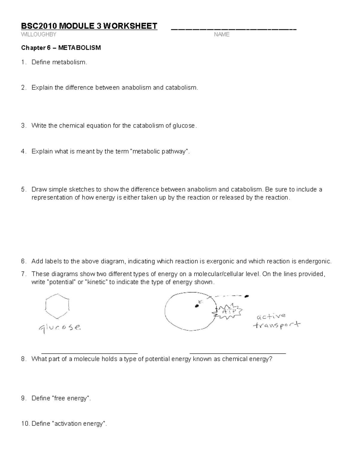 20223 BSC2010 Worksheet Module 3 - BSC2010 MODULE 3 WORKSHEET