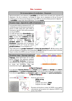 Sujet UE 2 - UE 2.1 S1 infirmier / IDE - PARTENARIAT UNIVERSITÉS DE SANTE/IFSI de NOUVELLE ...