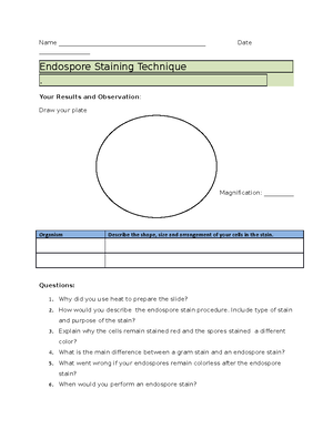 Gram stain technique Lab worksheet - Name - Studocu