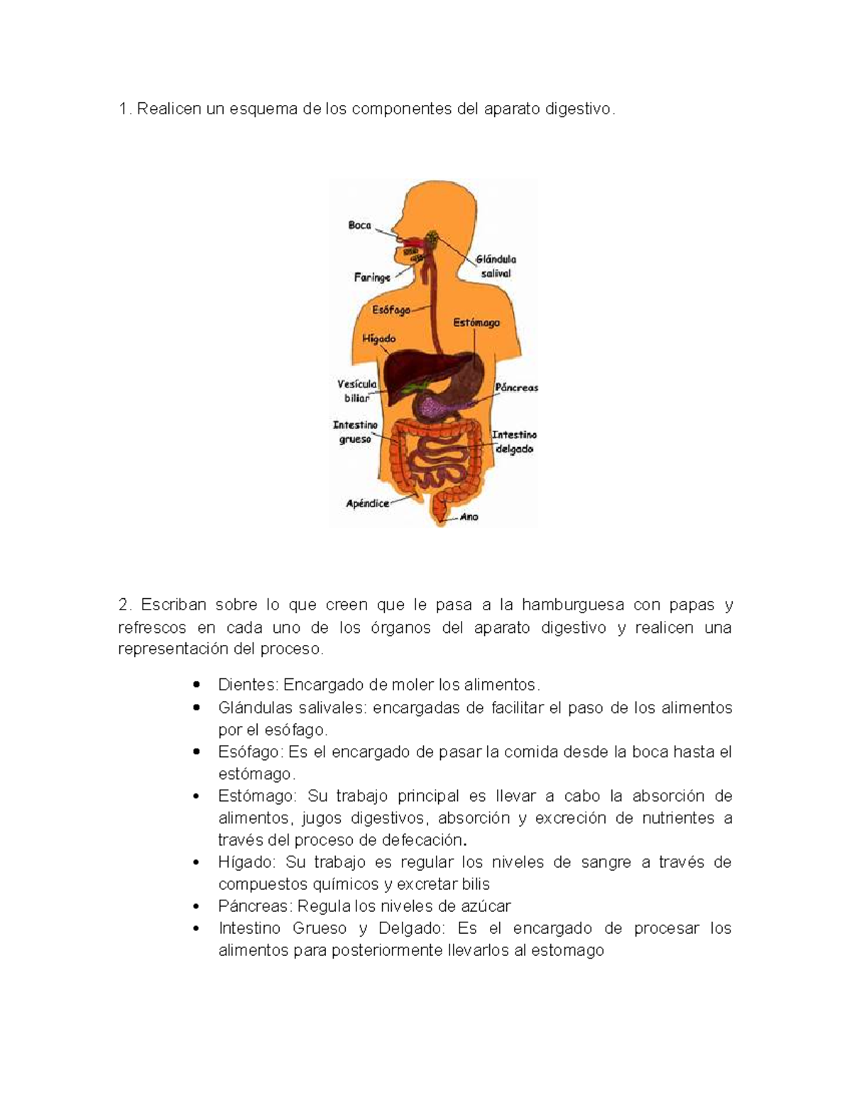 Actividad 3 cuidado del cuerpo humano - Realicen un esquema de los ...