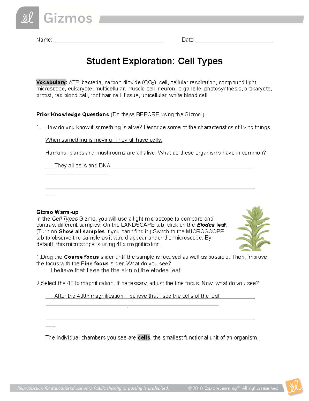 Cell Types SE - good - Name: Date: Student Exploration: Cell Types ...