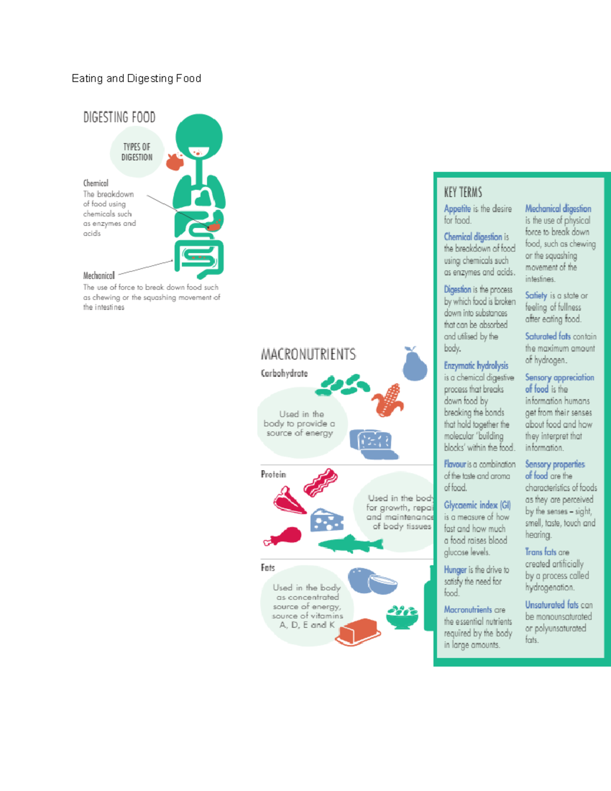 Food Studies Exam Notes - Eating and Digesting Food Australian dietary ...