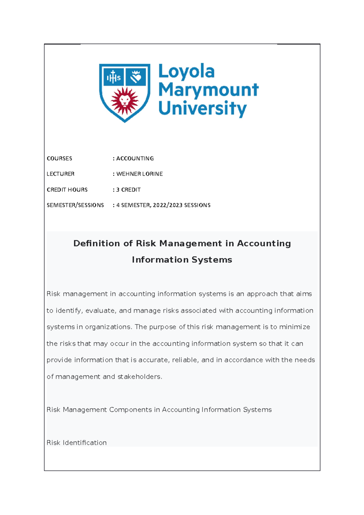 Definition of Risk Management in Accounting Information Systems ...