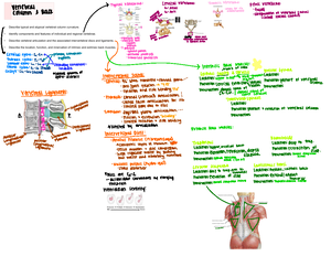 Axilla - Summary Human Anatomy - AxillaryArtery: ####### Axilla ...