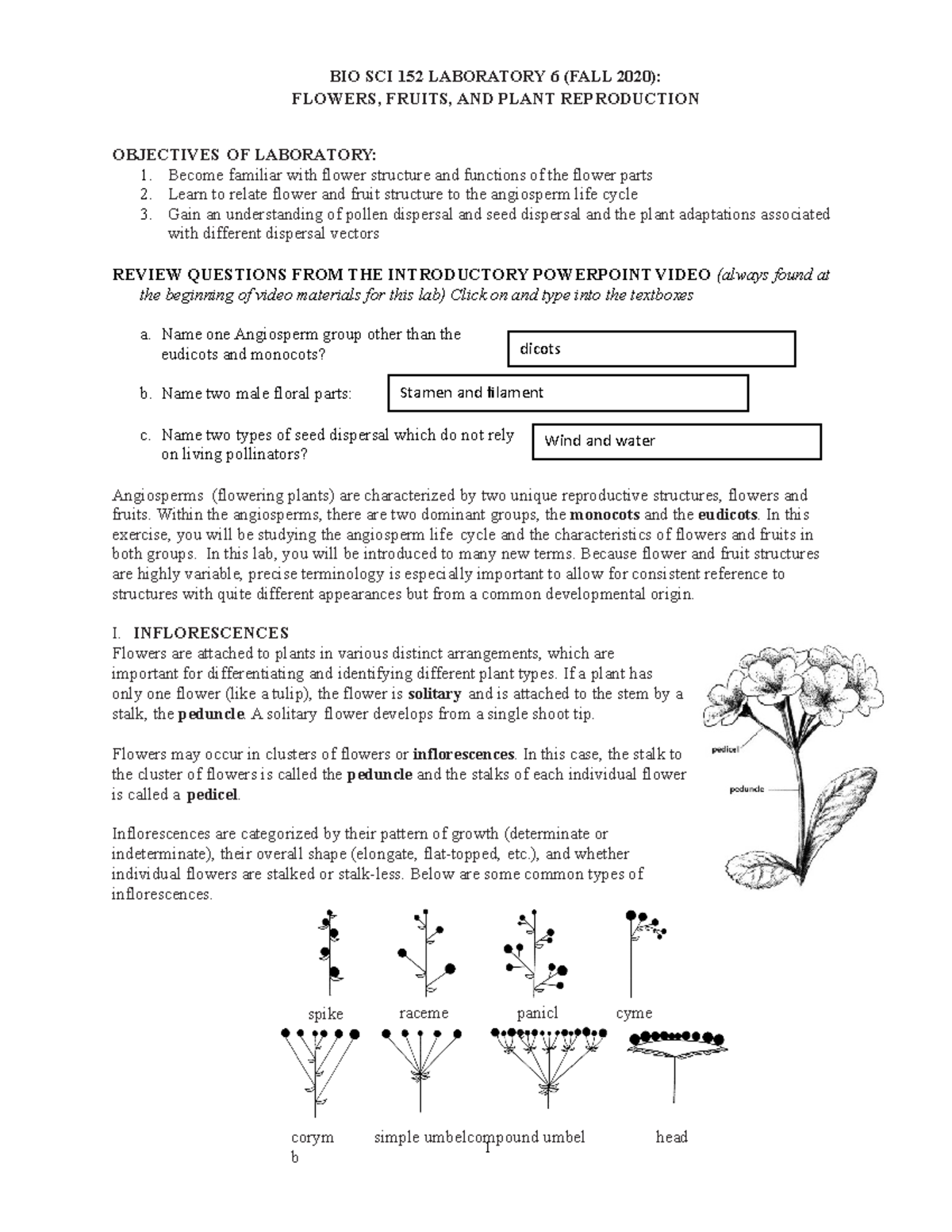 BIO 152- 801 UWM - BIO SCI 152 LABORATORY 6 (FALL 2020): FLOWERS ...