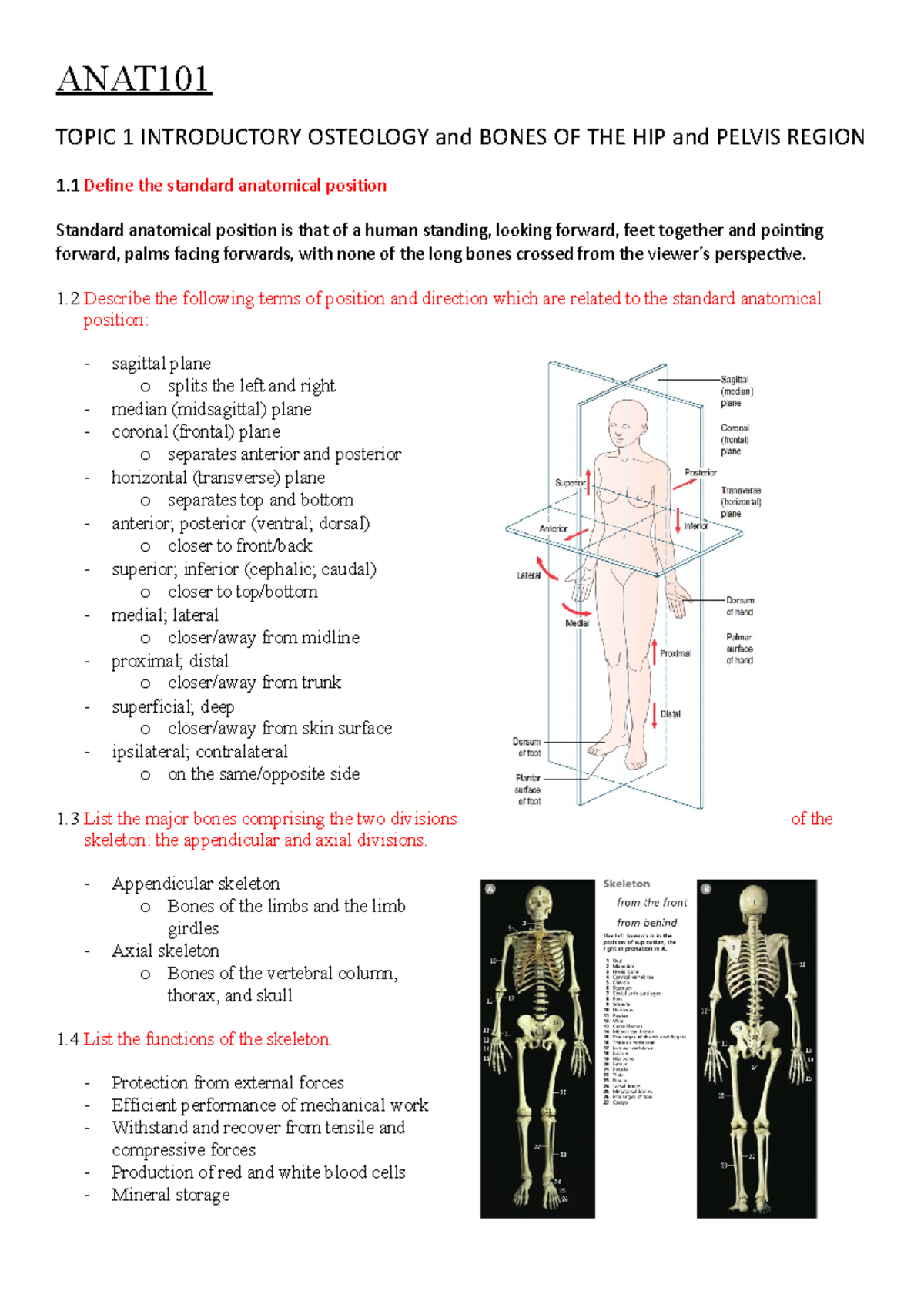 ANAT101 Notes - Topic 1-11 - ANAT TOPIC 1 INTRODUCTORY OSTEOLOGY and ...