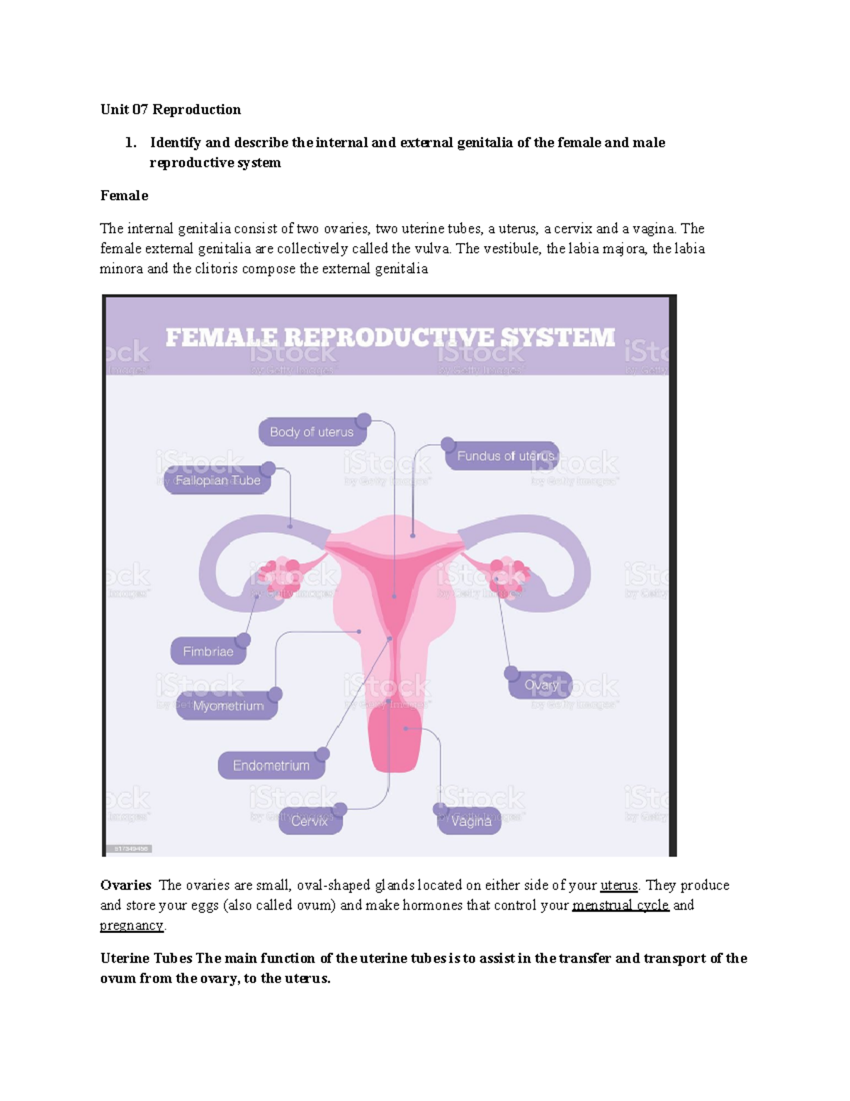 UNIT07 Ex PREP - Study these for the final - Unit 07 Reproduction ...