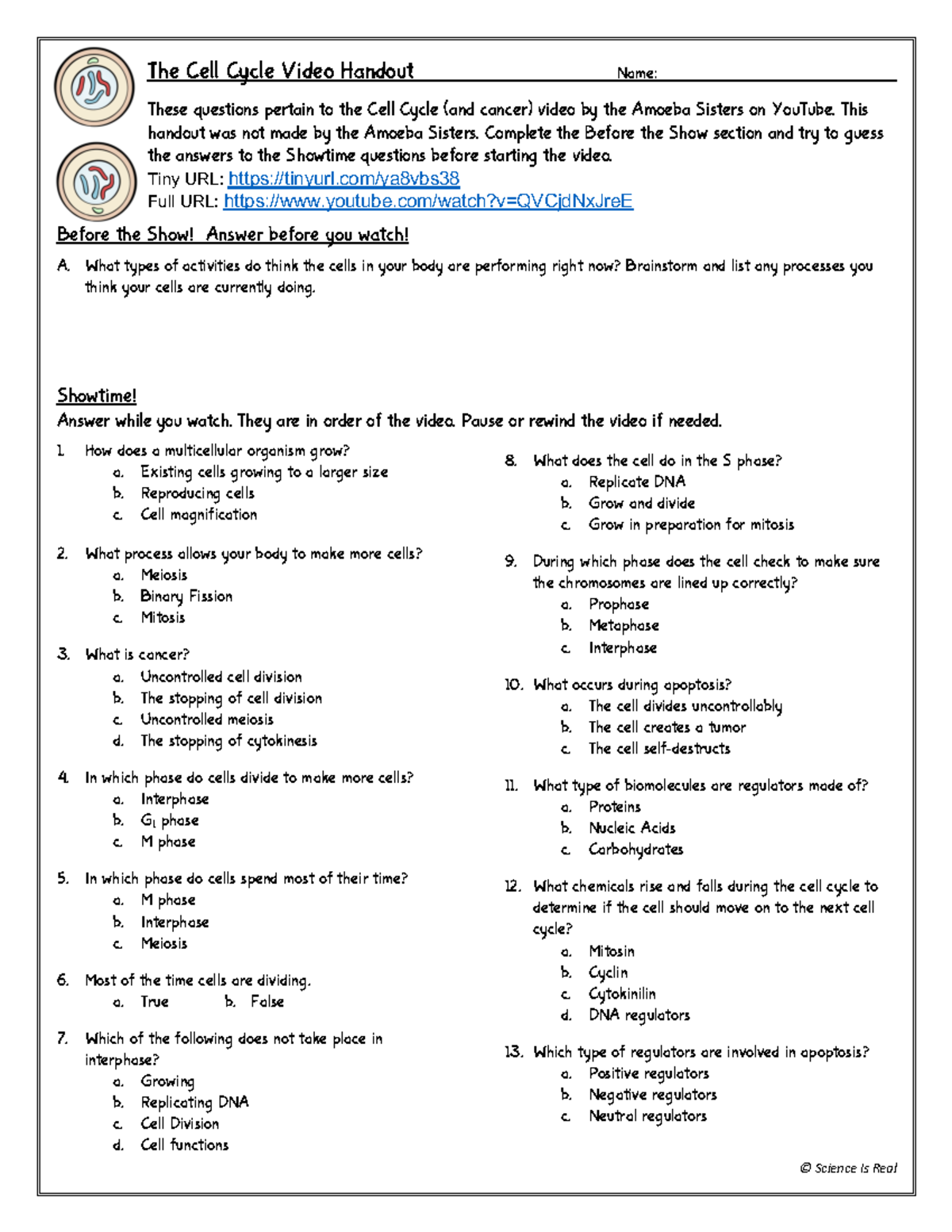 The Cell Cycle AS Video Handout 2 - © Science Is Real The Cell Cycle ...