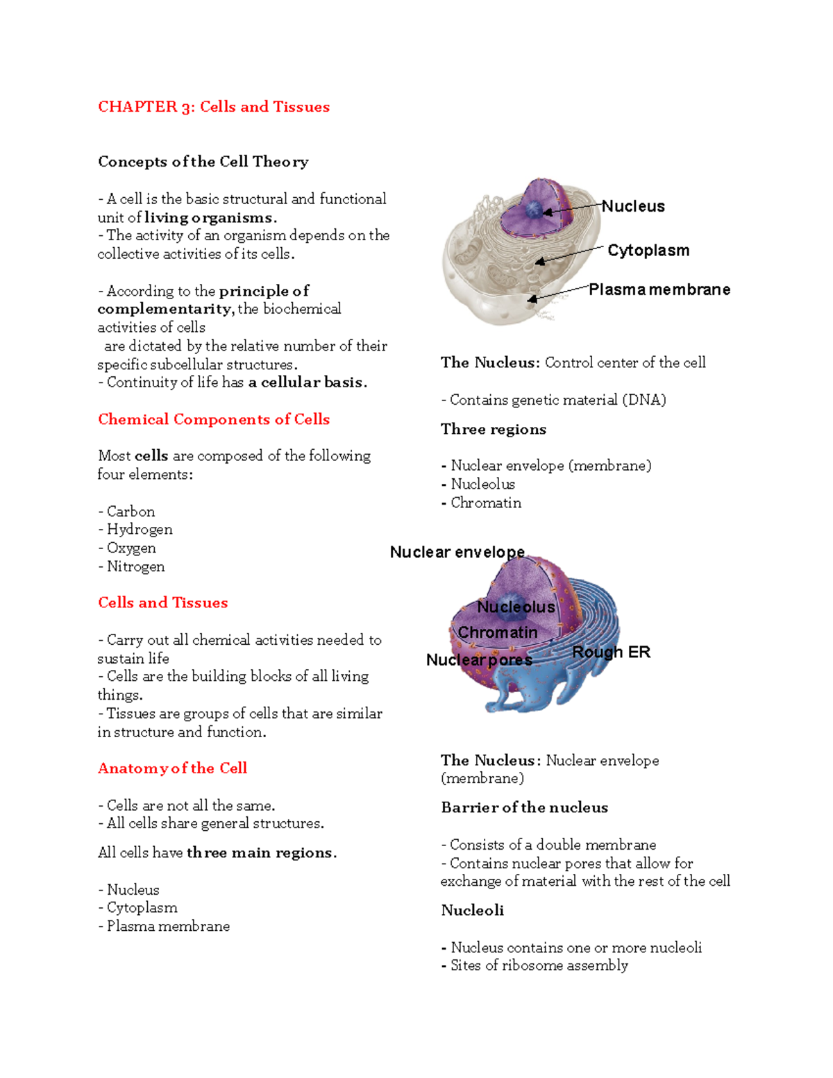 Cells and tissues reviewer - CHAPTER 3: Cells and Tissues Concepts of ...