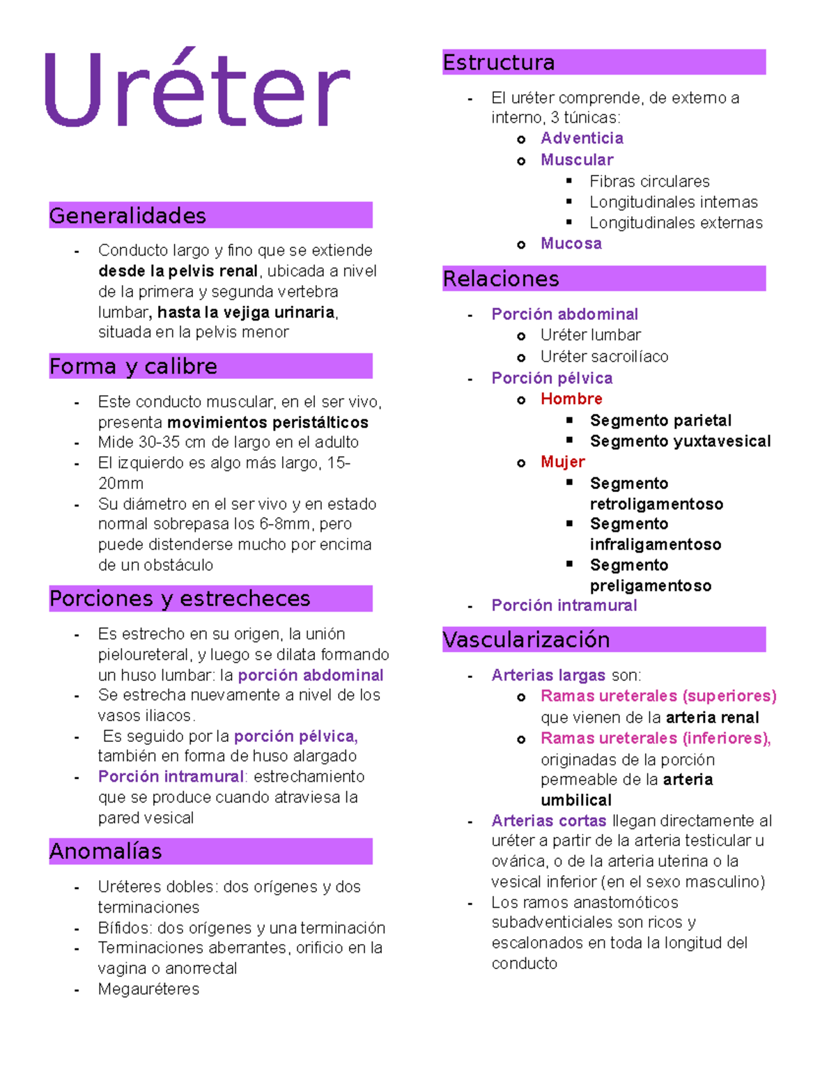 Ureter - apuntes clase - Generalidades Conducto largo y fino que se ...