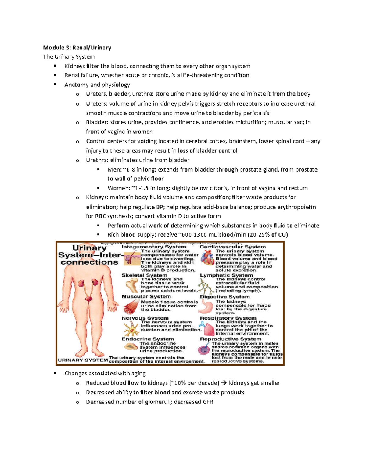 Renal-Urinary Study Guide - Module 3: Renal/Urinary The Urinary System ...