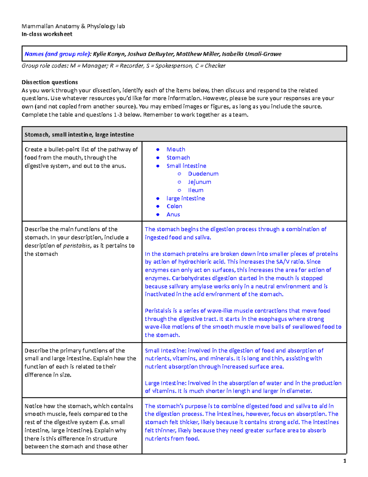 Dissection Worksheet - Mammalian Anatomy & Physiology lab In-class ...