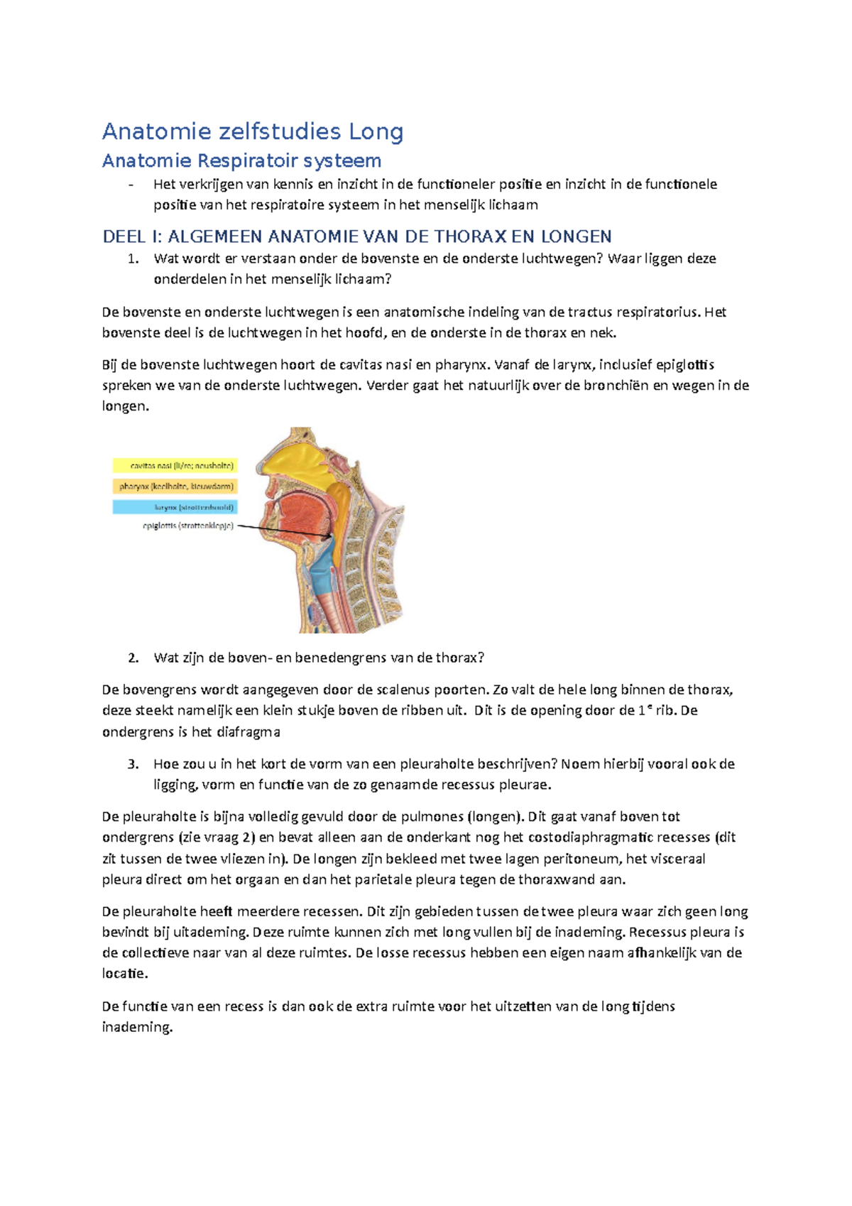 Anatomie long zelfstudie respiratoir systeem - Anatomie zelfstudies ...