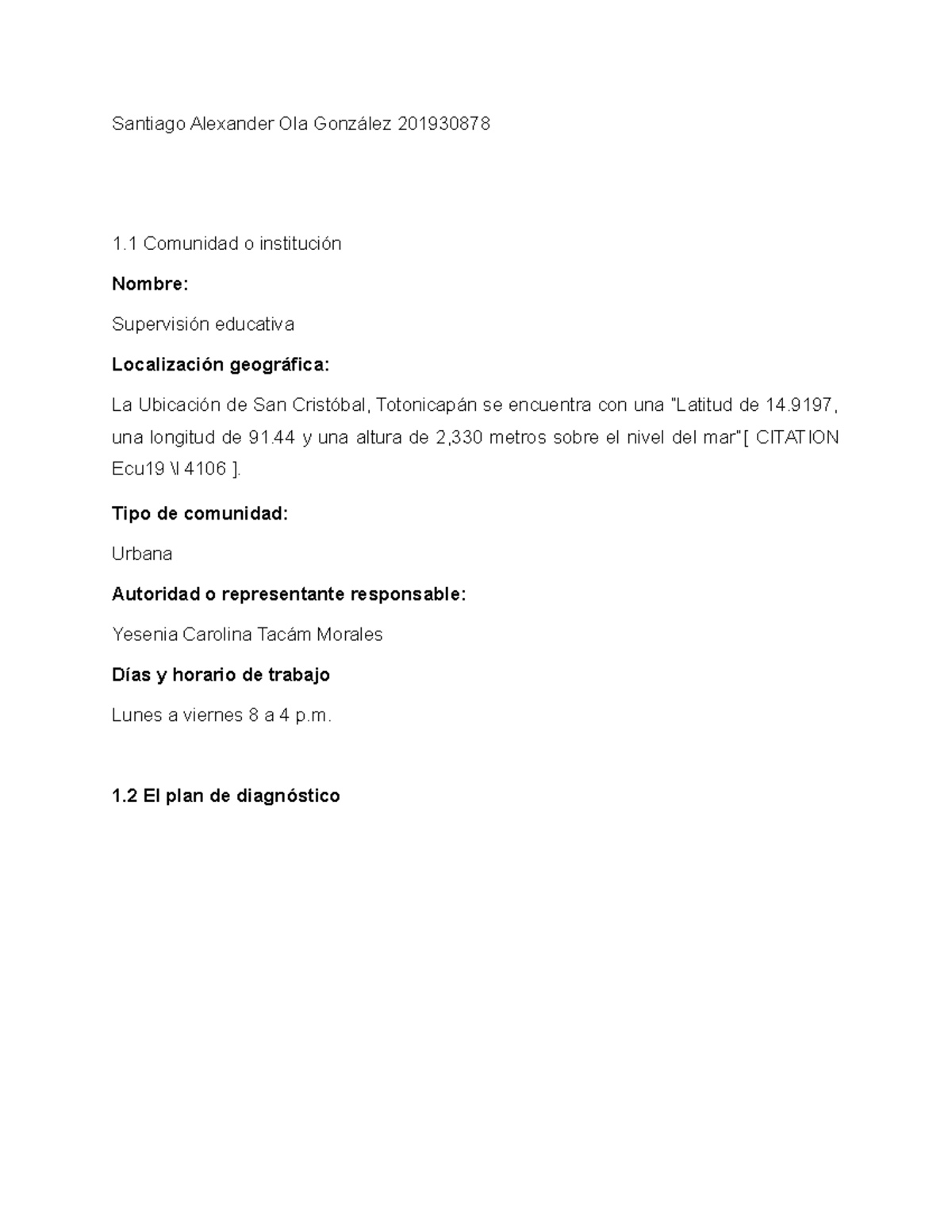 Plan del diagnóstico - Este es un ejemplo para la realización de un ...