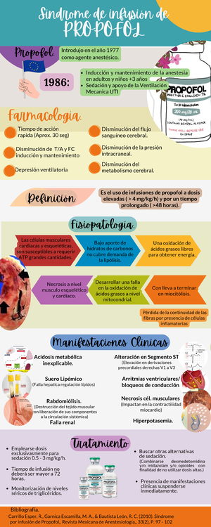 Pronomes Definidos portugués 1 practica - 1. Preencha as lacunas na ...