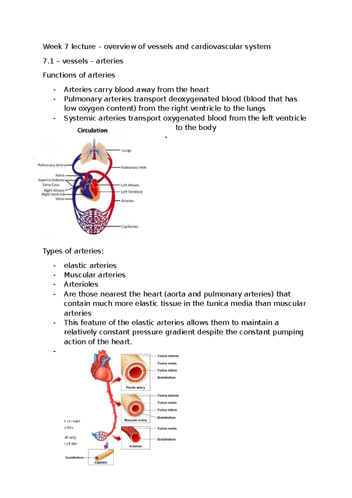 Week 7 lecture notes - dfffffffffffff - Week 7 lecture – overview of ...