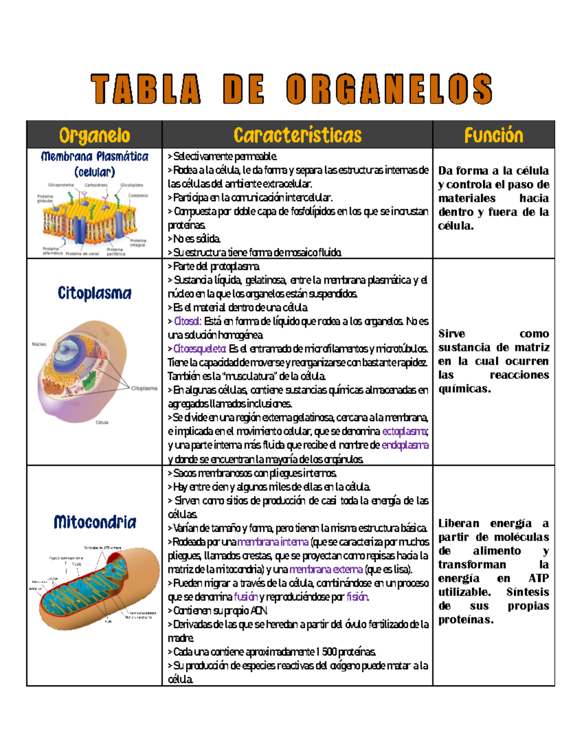 Tabla DE Organelos - Selectivamente permeable. Rodea a la célula, le da ...