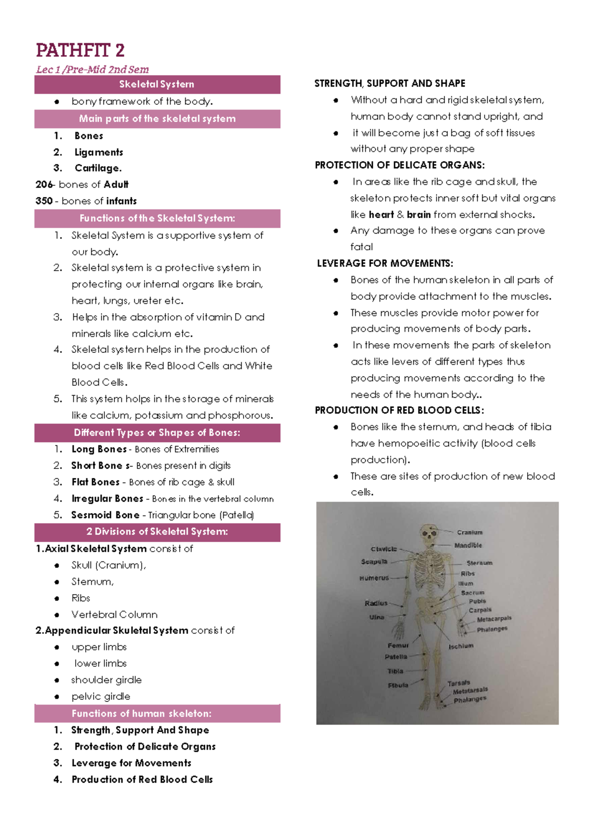 PE2 Pre Mid - Lec 1 /Pre-Mid 2nd Sem Skeletal Systern bony framework of ...
