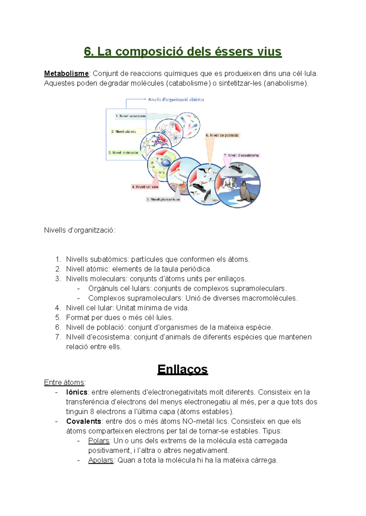 6. La composició dels éssers vius - 6. La composició dels éssers vius Metabolisme: Conjunt de ...